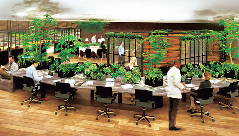 OFFICE × バイオフィリックデザイン | Panasonic