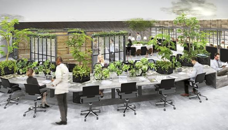 OFFICE × バイオフィリックデザイン | Panasonic